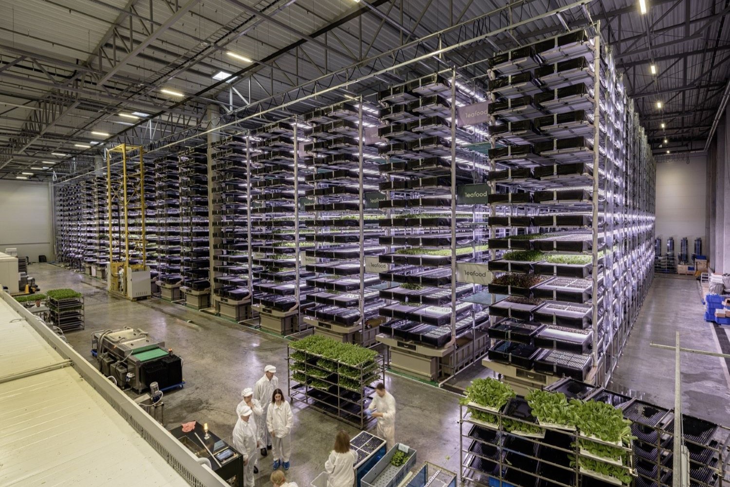 YesHealth Group - Leafood